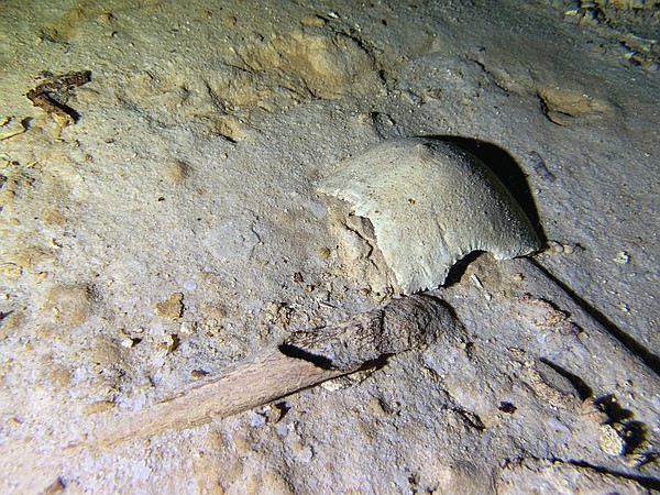 Ancient skeleton found in Mexico cave threatened by train | The ...