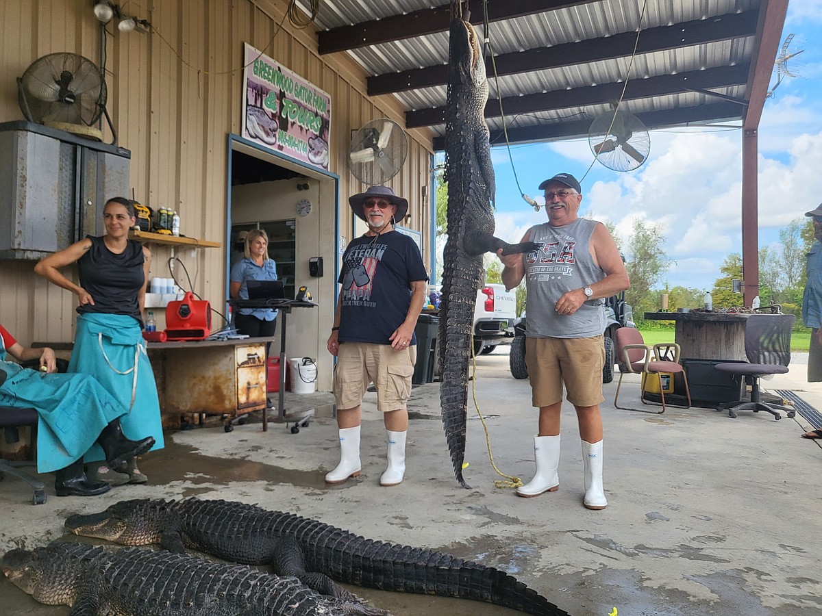 Some say 2022 alligator season in Louisiana is gonna be good ...