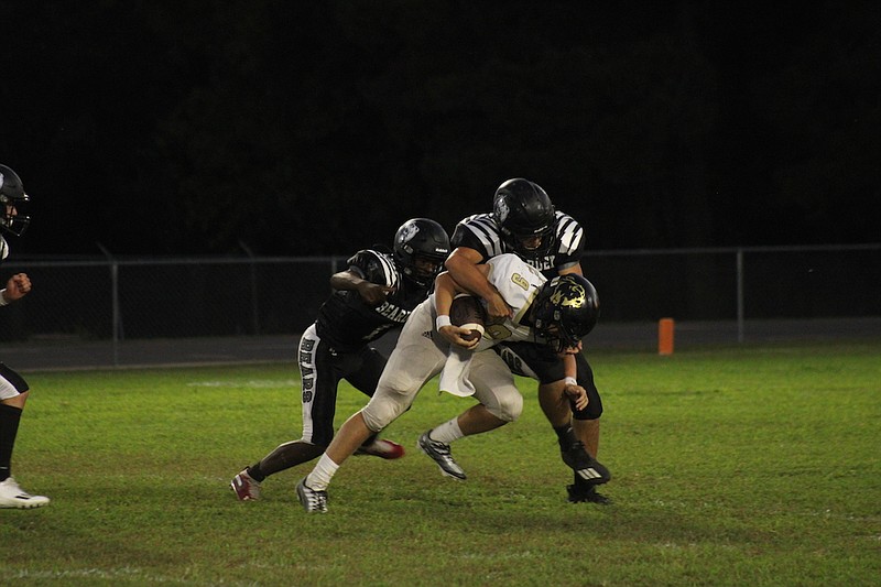 Bearden Bears set to host surprising Episcopal Wildcats on Friday ...