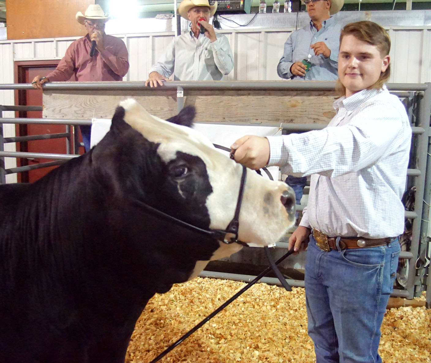 Cattle | Westside Eagle Observer