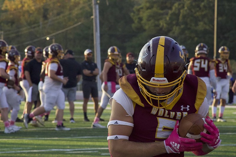 WATCH: Wolves hold off late push by Panthers | Hot Springs Sentinel Record