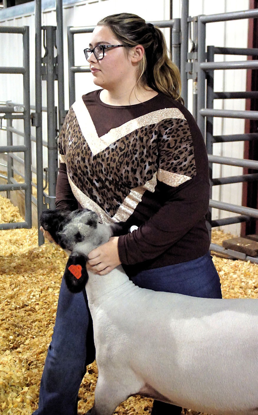 Lambs | Westside Eagle Observer