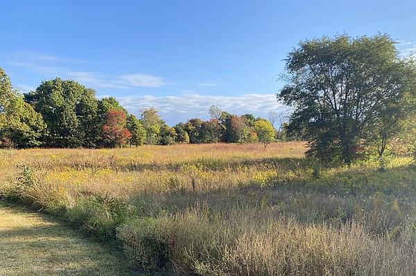 WATCH: Fayetteville Trail makes for enjoyable fall outing | Hot Springs ...