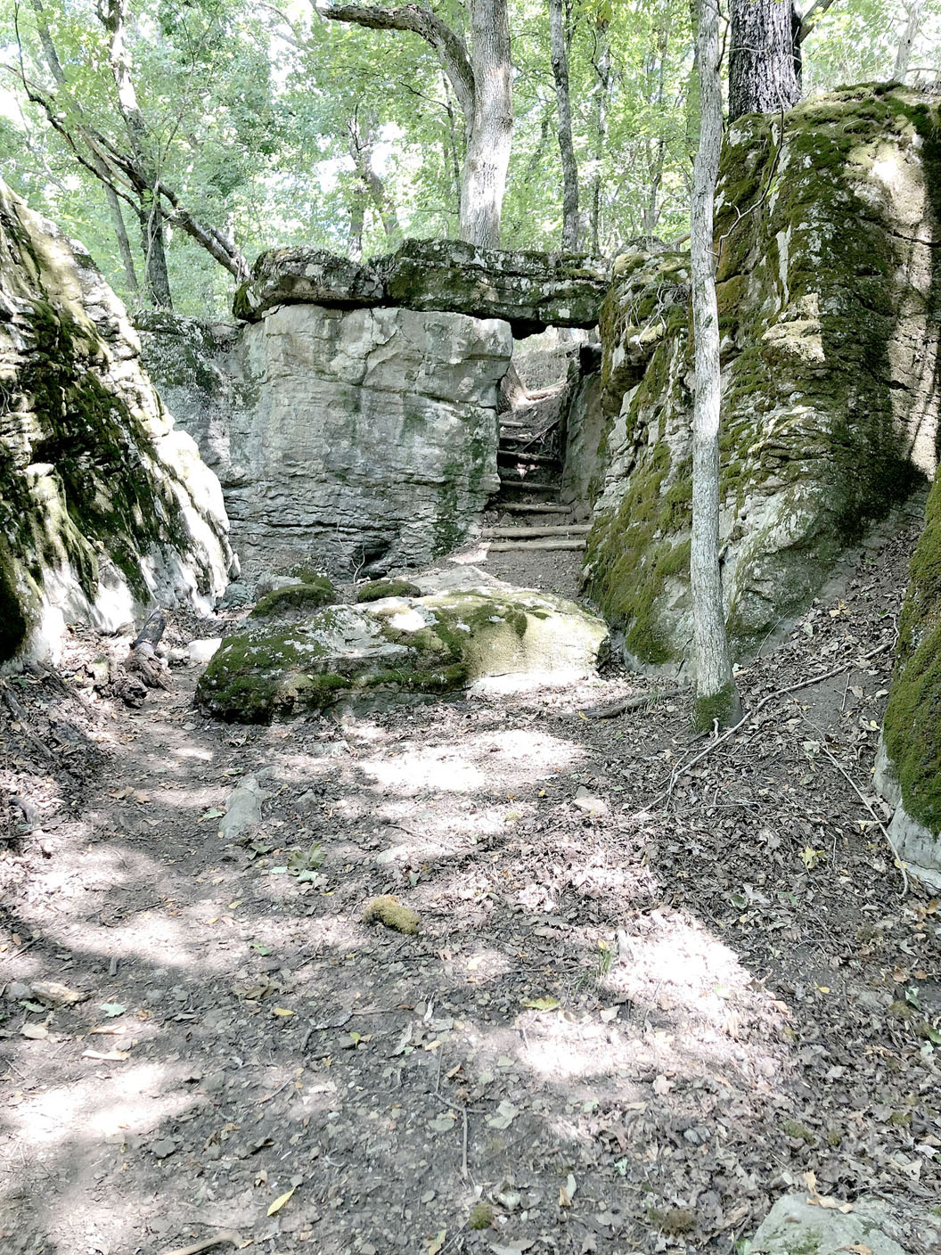 Cane Hill’s ‘Habitat’ exhibit invites exploration, learning | Northwest ...