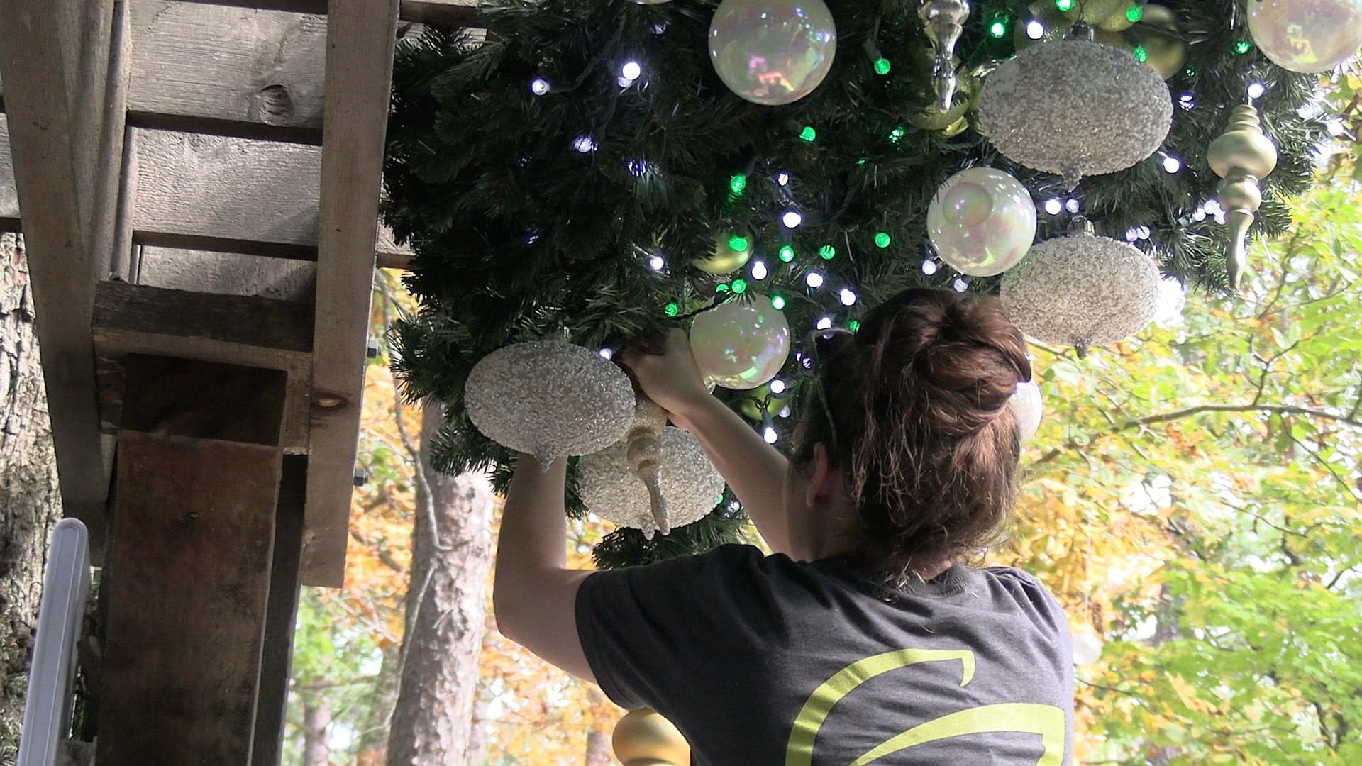 WATCH: Holiday Lights returns to Garvan Woodland Gardens | Hot Springs ...