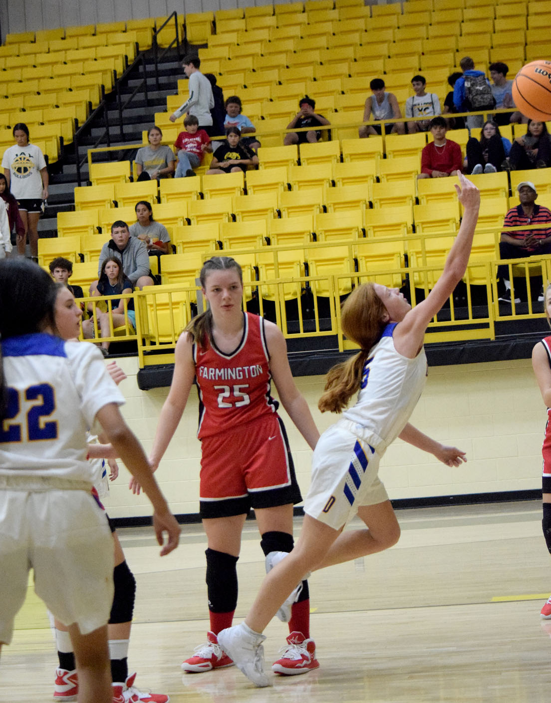 Lady Bulldogs put up fight, lose in Jay basketball tournament