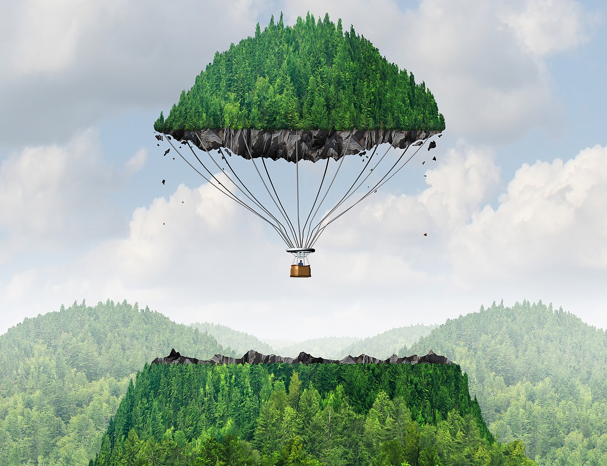 To move or not to move, that is the question | The Arkansas Democrat ...