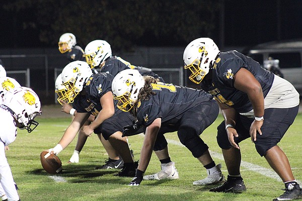 13 Harmony Grove Hornets recognized for All-State and All-Conference ...