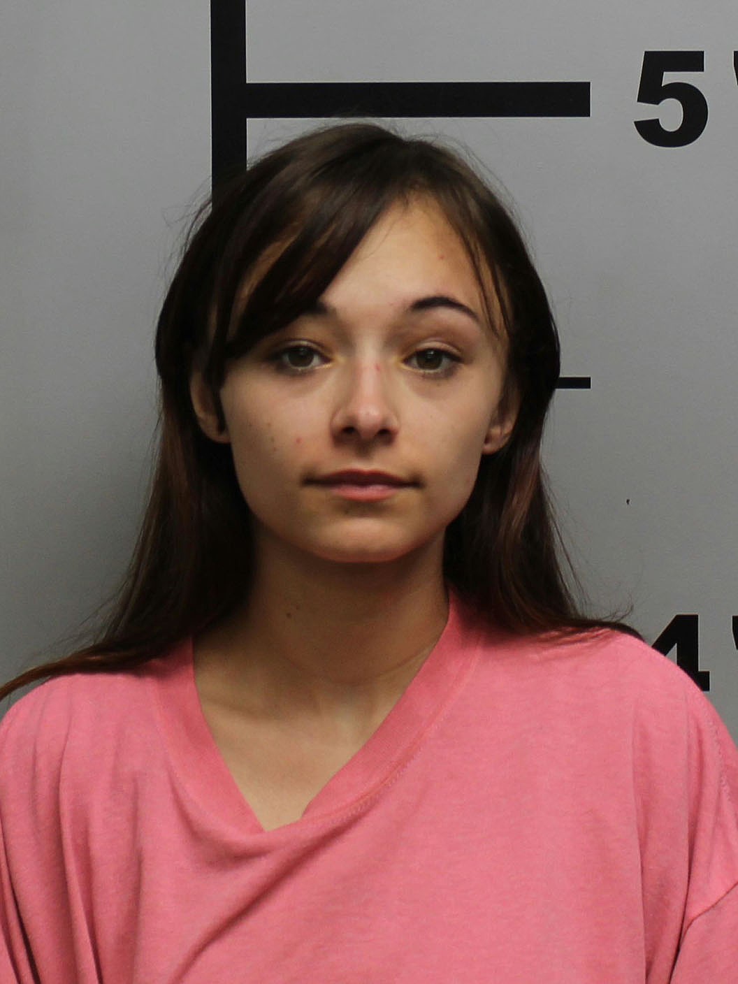 Siloam Springs woman pleads guilty to permitting the abuse of son ...