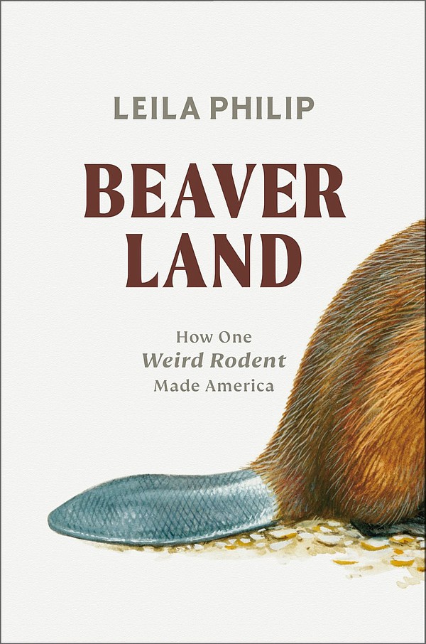 A fascinating history of beavers shows how the species shaped the U.S ...