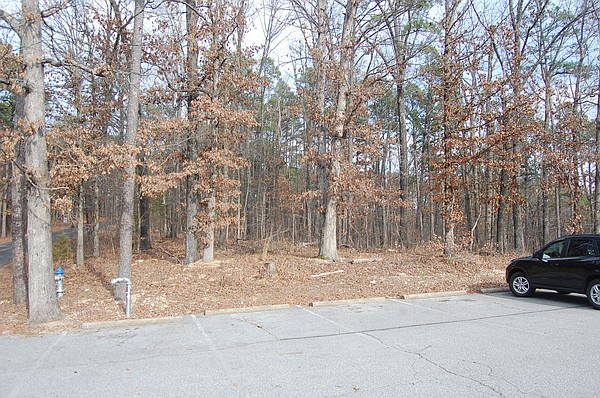 Foundation paves the way for Bella Vista library parking lot expansion ...