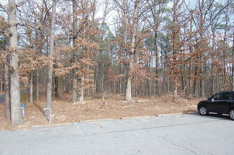 Foundation paves the way for Bella Vista library parking lot expansion ...