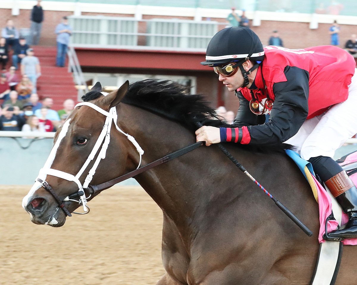Cox looks ahead with Derby prospects | Hot Springs Sentinel Record