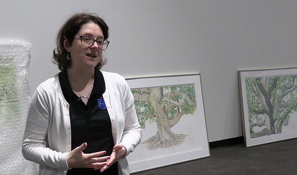 WATCH | Temporary exhibit focused trees to open at science museum | Hot ...