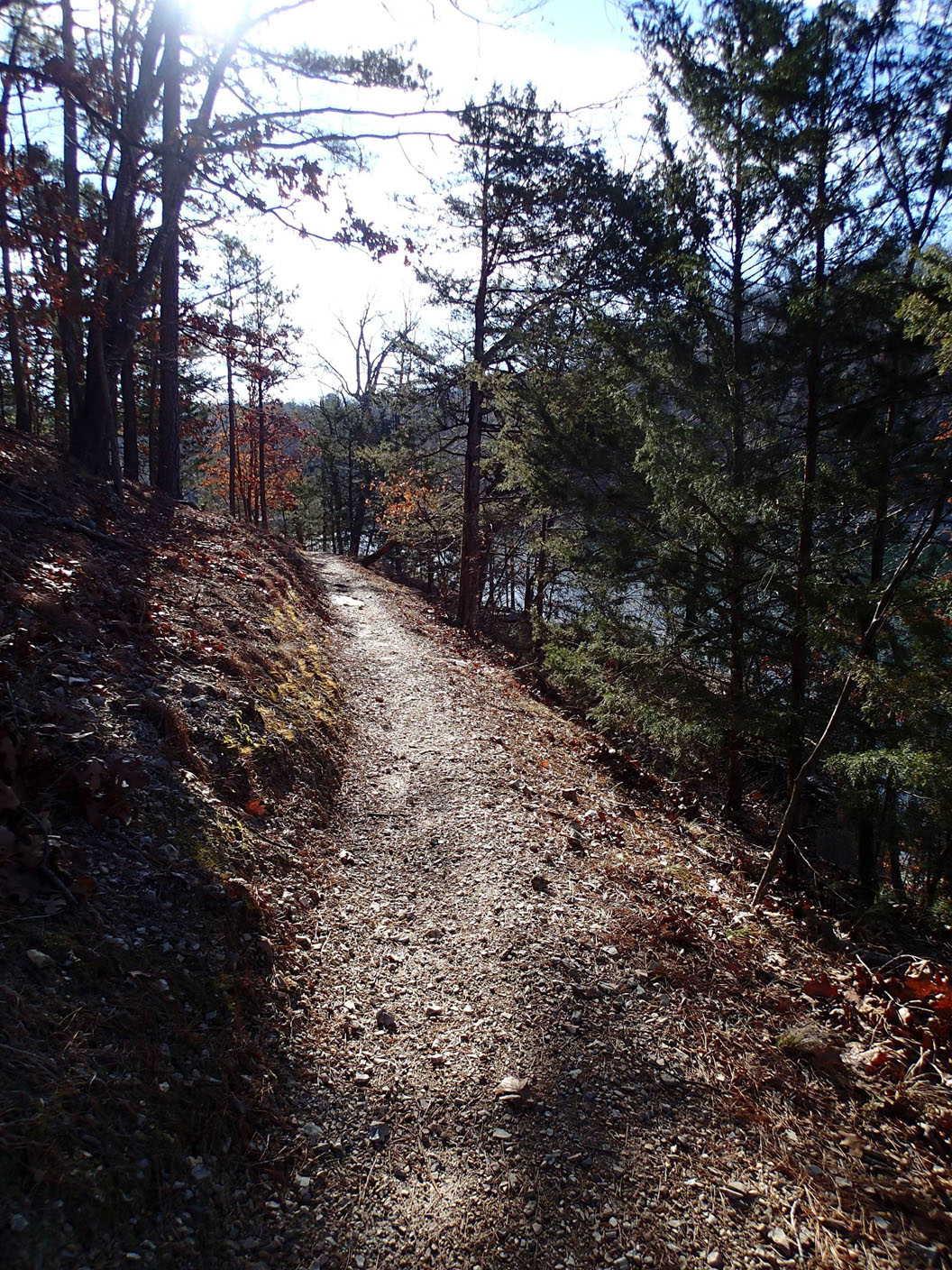 Karst Loop trail at Hobbs State Park offers water, woods for hikers and ...