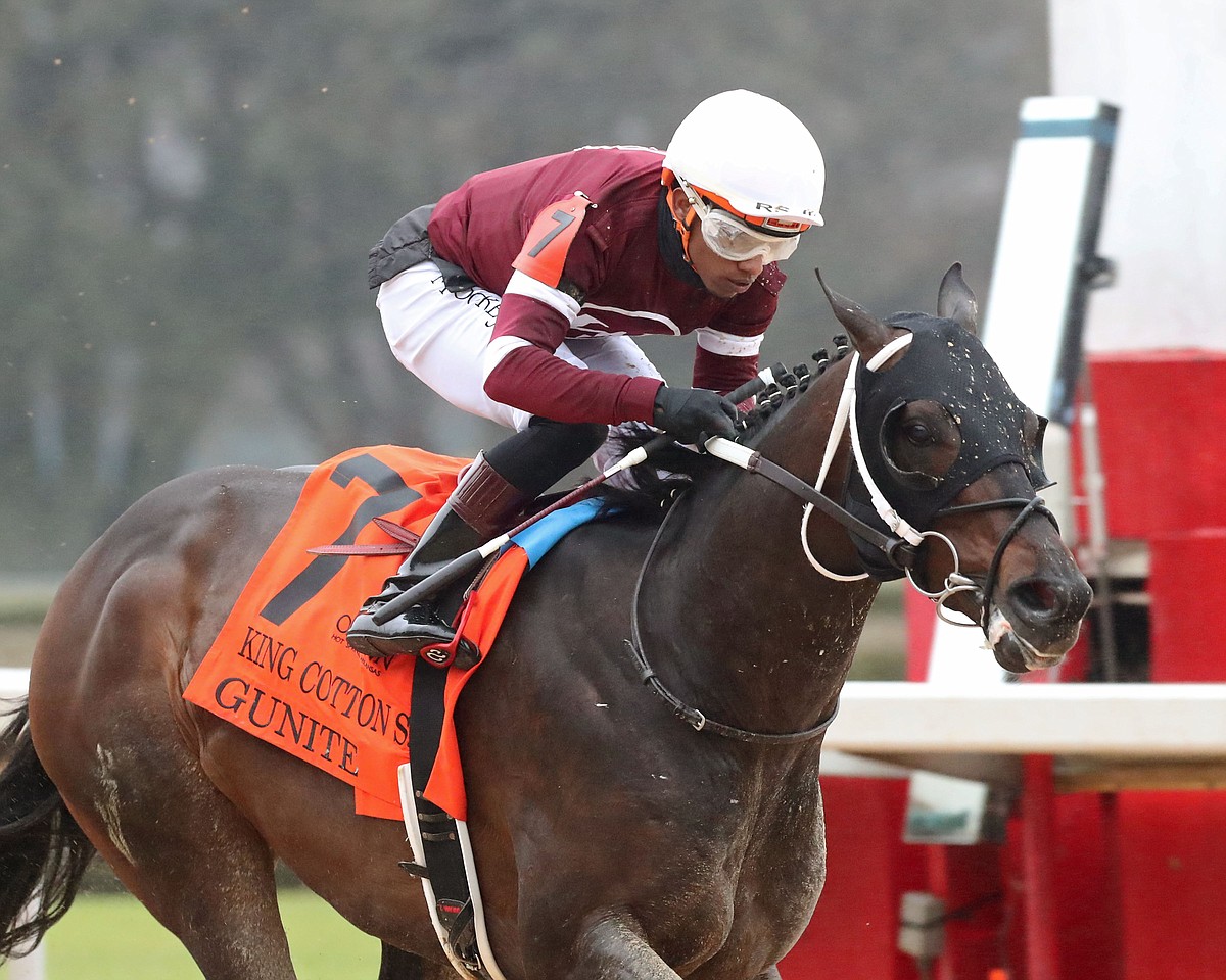 Gunite mows down King Cotton foes | Hot Springs Sentinel Record