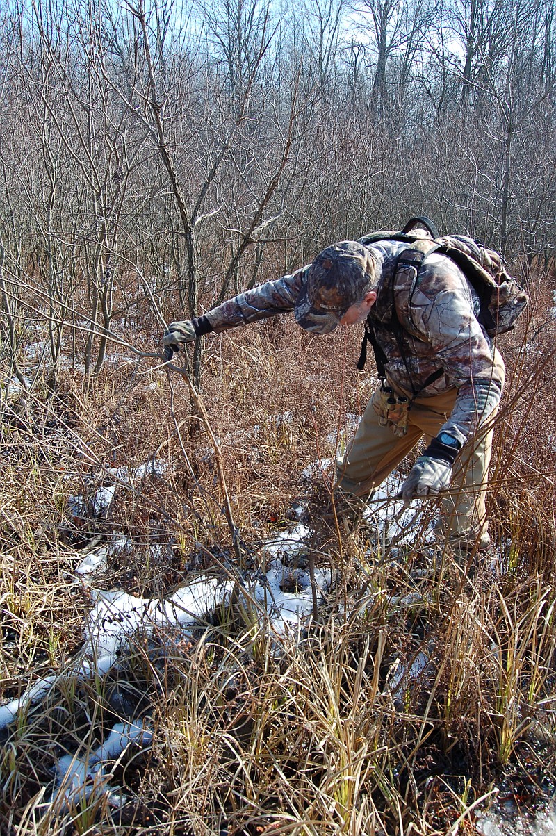 Scout now for an edge on the deer next year | Fulton Sun