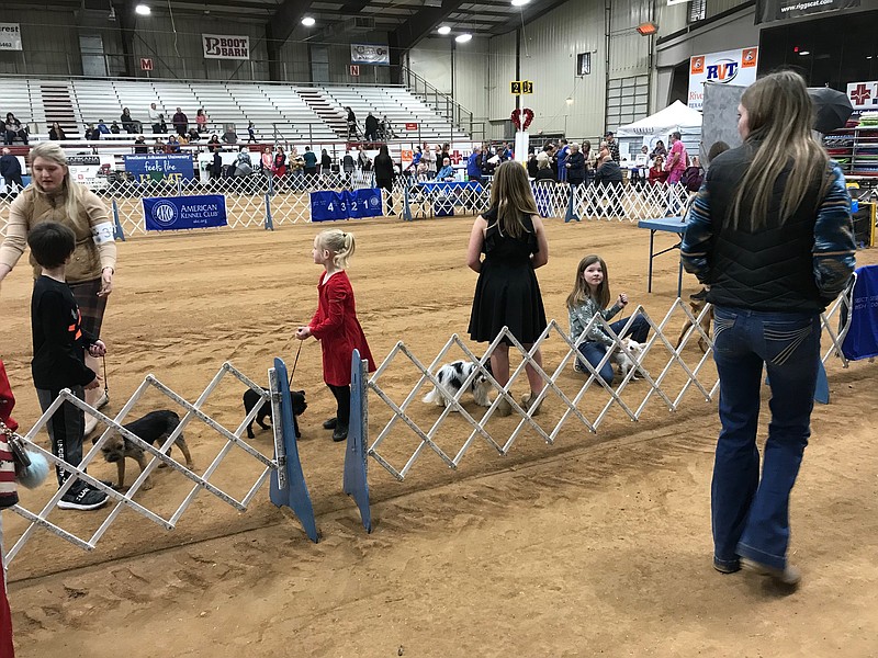 Annual dog show draws more canines than last year | Texarkana Gazette