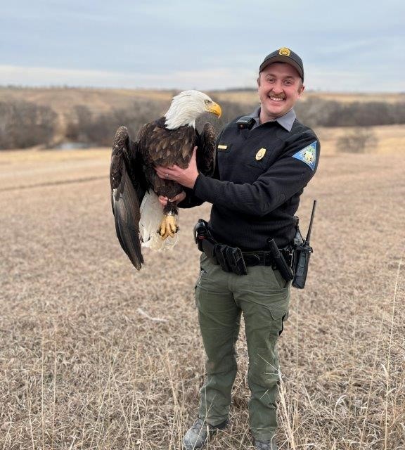 Missouri Department of Conservation to study bald eagle interaction ...