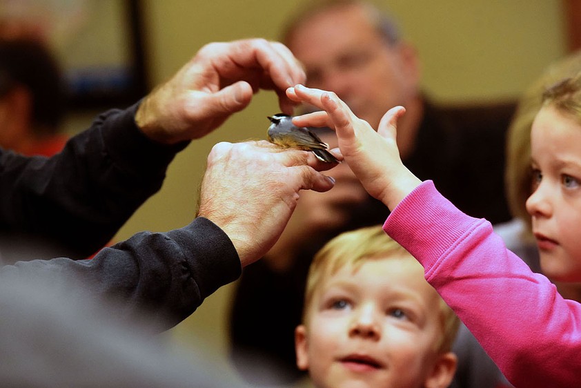 NWA outdoor briefs: Learn how wildlife survive winter, catch a rainbow ...