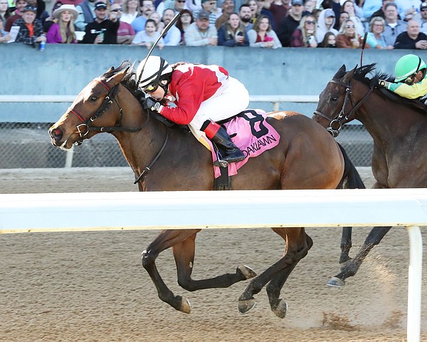 Bailey finds key to once roguish Summer Shoes | Hot Springs Sentinel Record