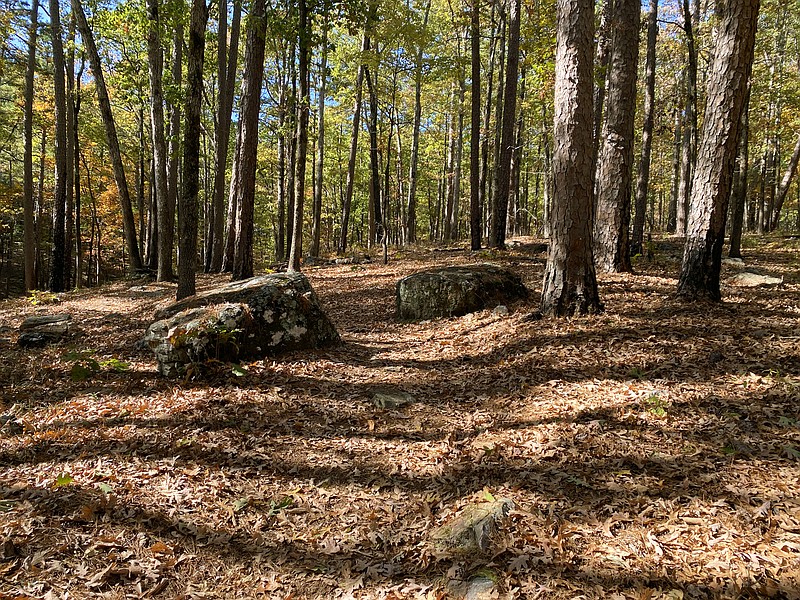 WATCH | LOViT part five: Time for a short and pleasant jaunt | Hot ...