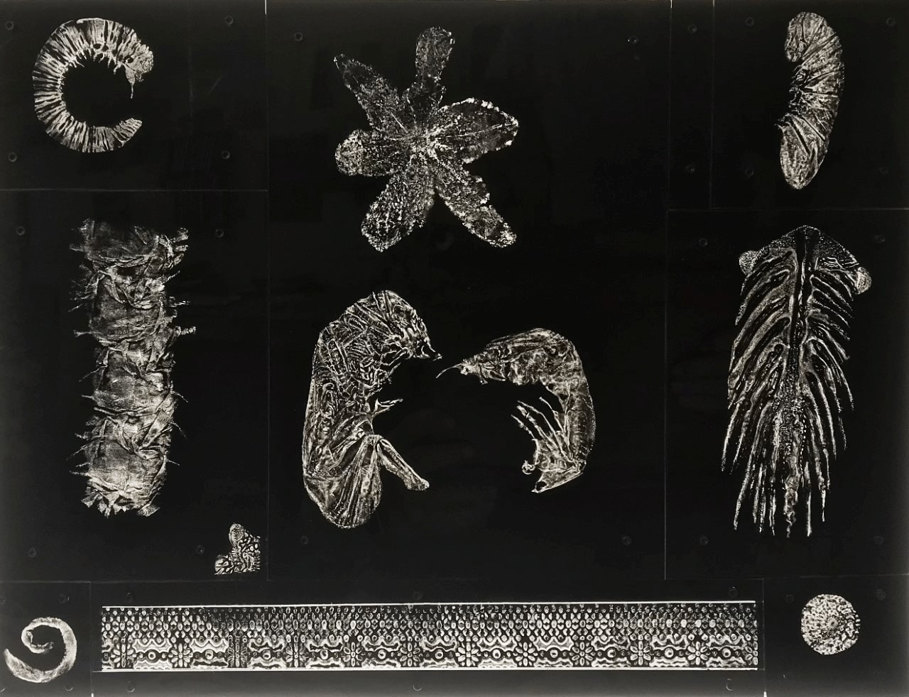 Keech exhibit at SAAC closing after today's reception | El Dorado News