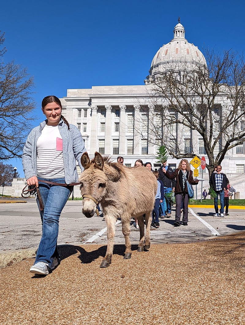 Palm Sunday brings donkey downtown | Jefferson City News Tribune