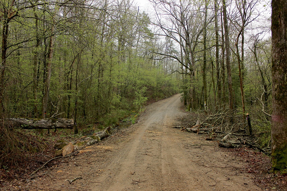 NWS: Additional severe weather expected today | Hot Springs Sentinel Record