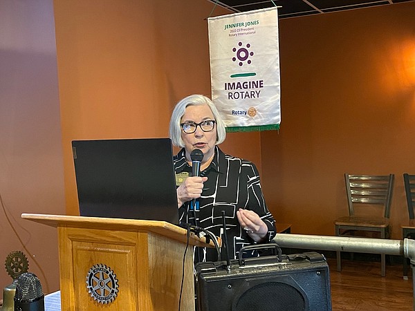 Susan Krumm provides update on Historical Society | Fulton Sun