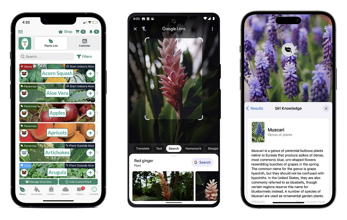 These 5 free garden apps identify plants and diagnose what ails them ...