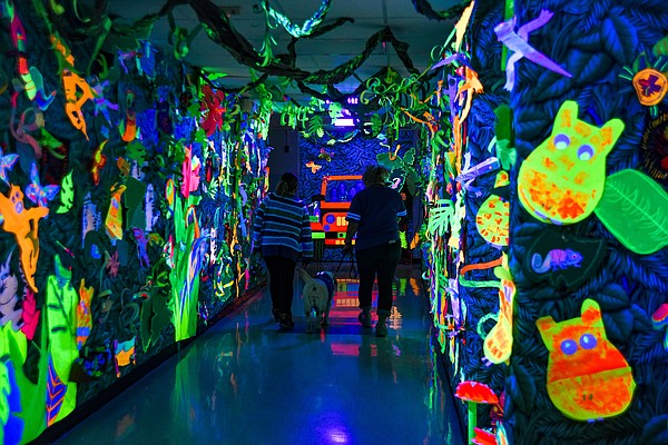 North Elementary students create jungle scene while learning about ...