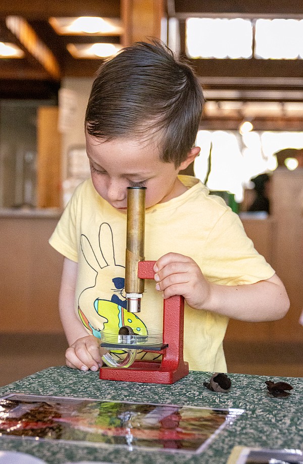 As the season gets underway, dozens seek more morel advice | Jefferson ...