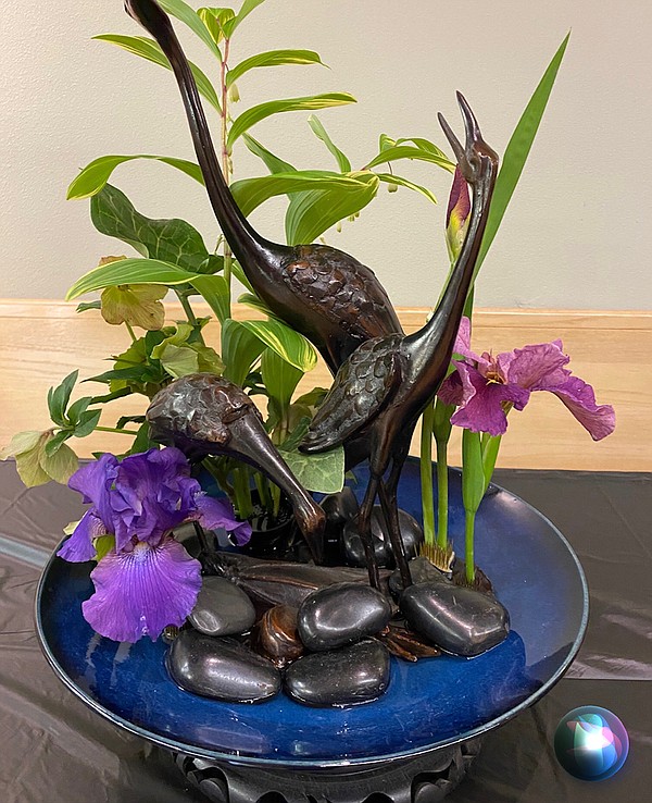 2023 Iris Show set for Saturday | Hot Springs Sentinel Record