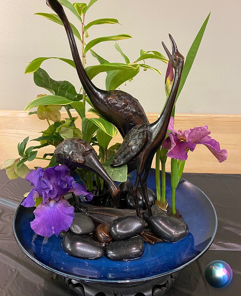 2023 Iris Show set for Saturday | Hot Springs Sentinel Record