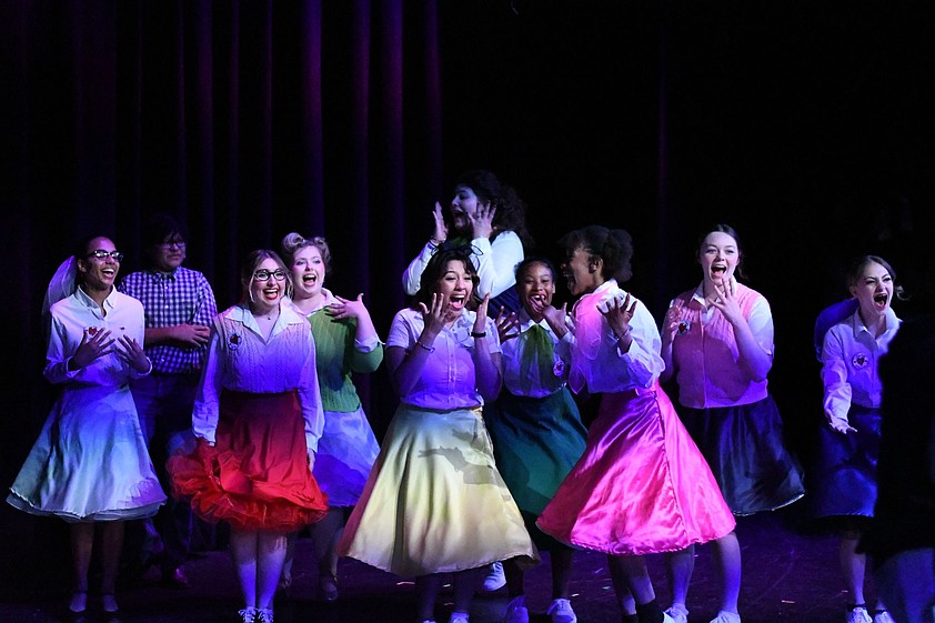 EHS Drama students to present 'Bye, Bye Birdie' starting Thursday | El ...