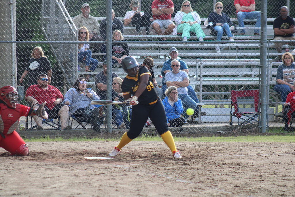 Harmony Grove baseball and softball seniors accomplish big goals ...