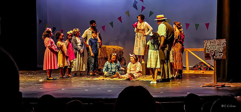 ‘Charlotte’s Web’ charms audience at Arts & Science Center | The ...