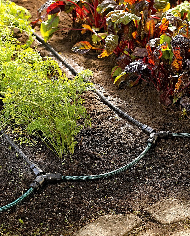 Tips for designing and maintaining a low-maintenance garden | Westside ...