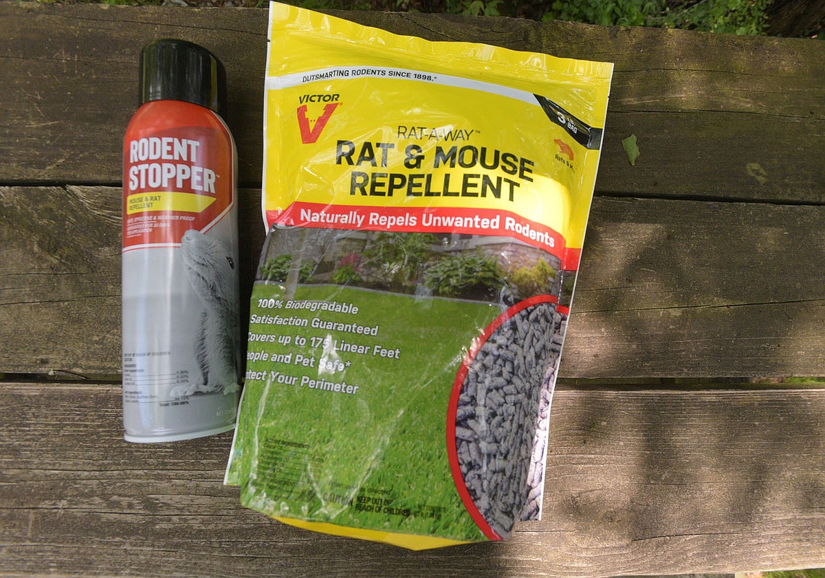 OPINION | Flip Putthoff: Ounce of prevention keeps pests away ...