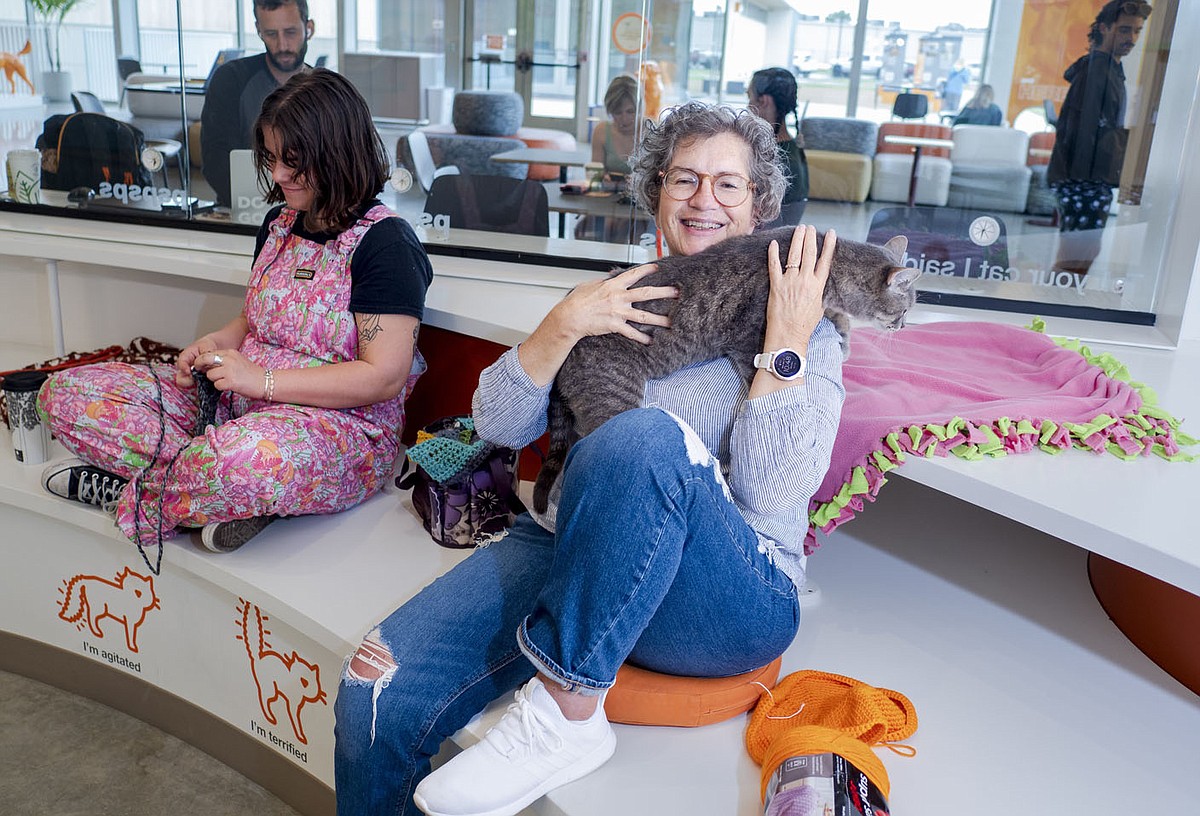 Knitten’ with Kittens | Northwest Arkansas Democrat-Gazette