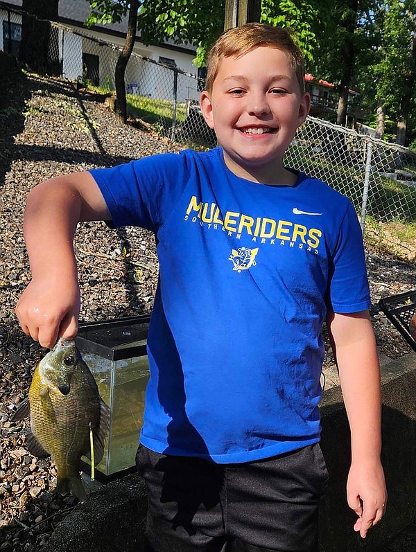 Three more fish caught in $100K Challenge | Hot Springs Sentinel Record