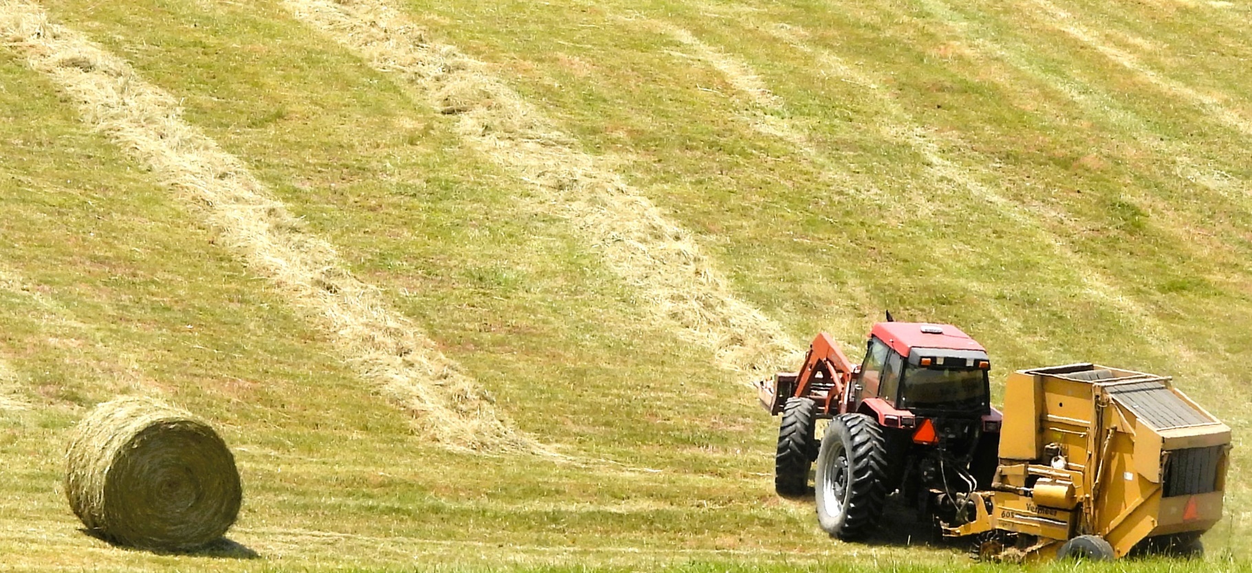 Pages of Life — Where are the Haystacks? | Fulton Sun