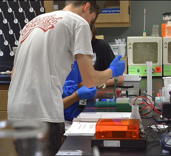 WATCH | ‘Summer at ASMSA’: Camps draw rising sophomores from across ...