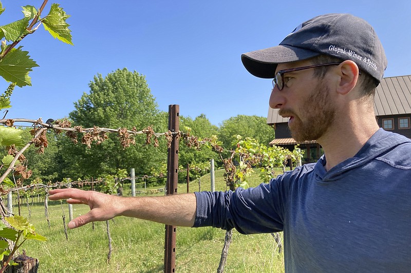 Aid sought after late frost damage | Northwest Arkansas Democrat-Gazette