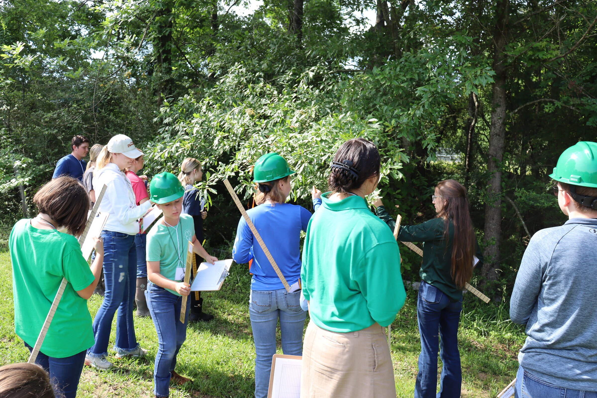 U.N. official visits 4-H forestry event in Monticello | Northwest ...