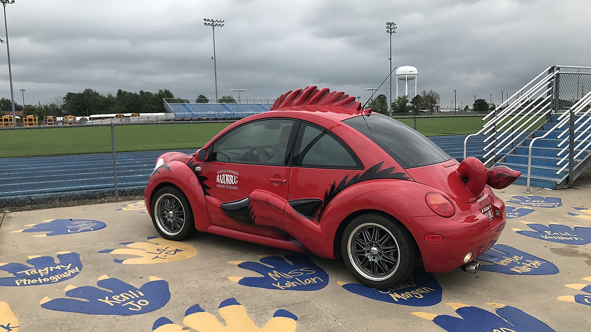 Razorbug to deliver diplomas in Camden | Camden News