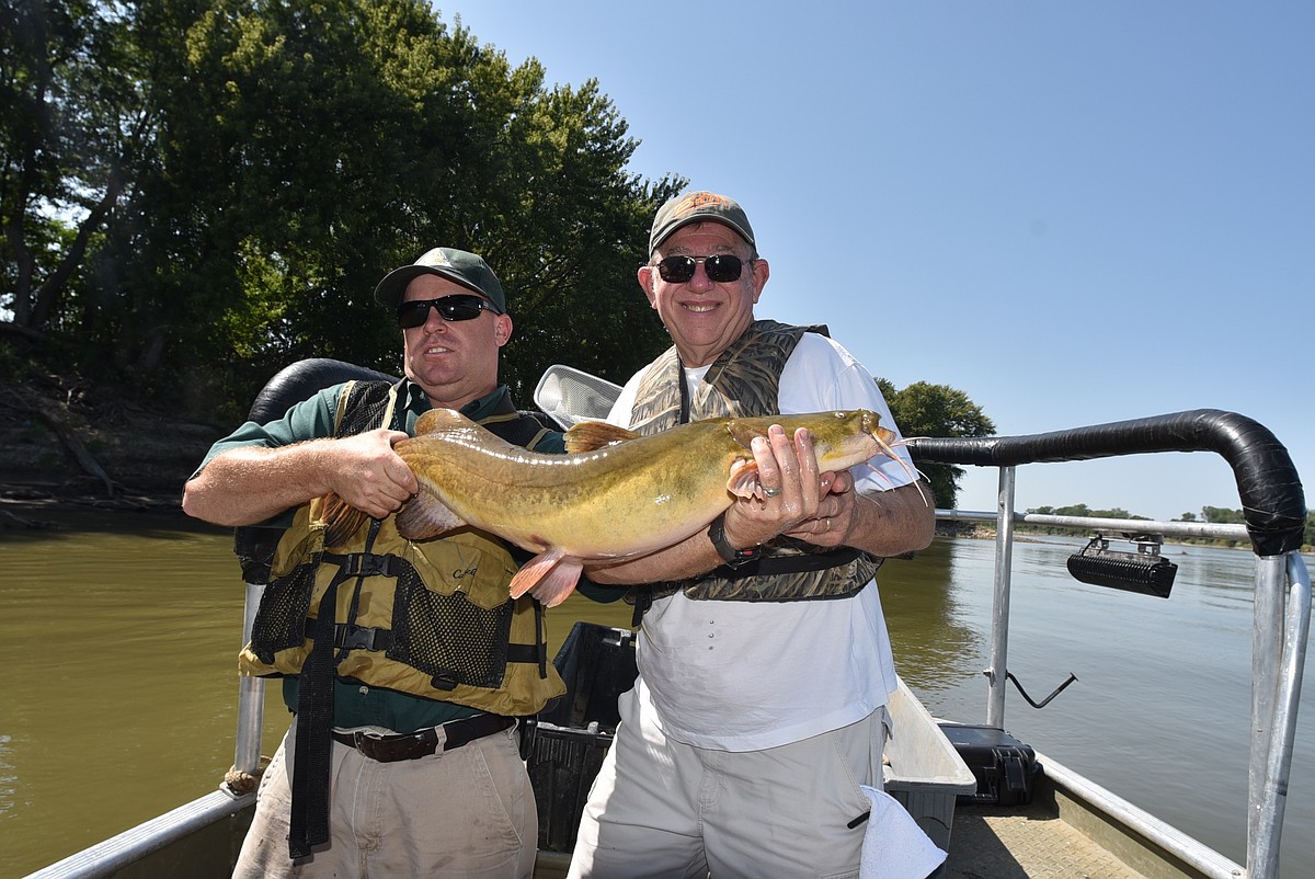 OPINION | PUTTHOFF: Catching catfish evokes memories of midnight fish ...