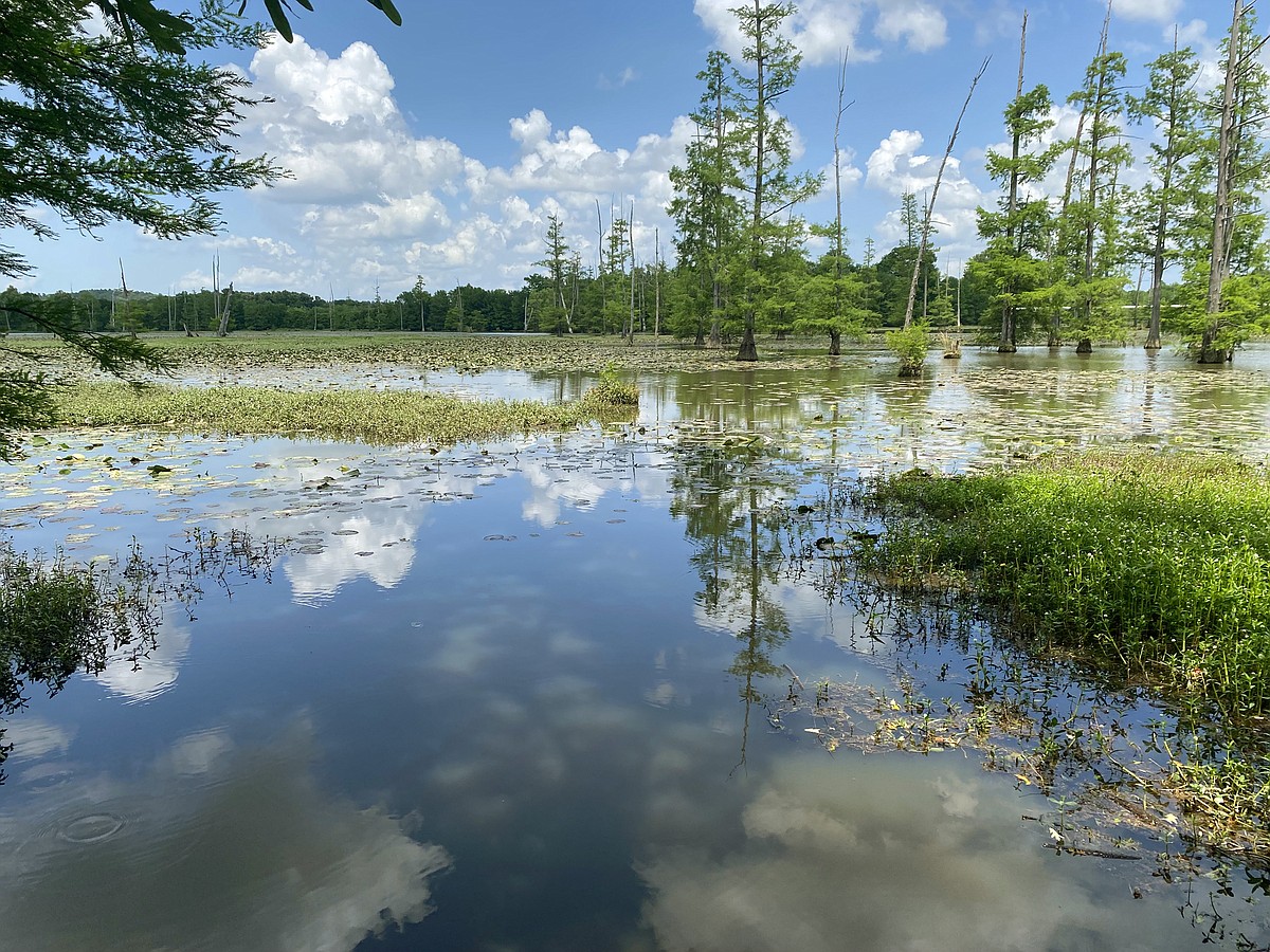 WATCH | William Kirsch Preserve a little slice of paradise | Hot ...