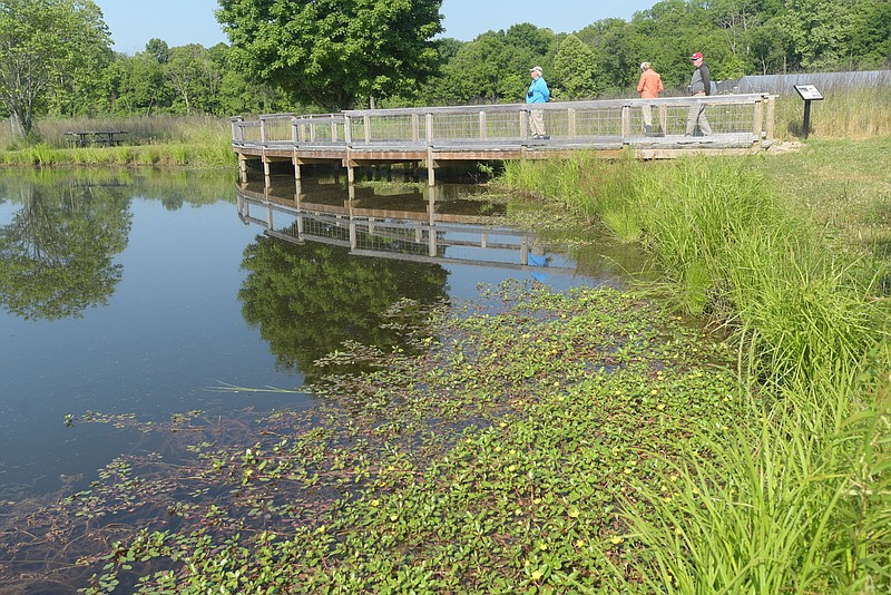 Siloam Springs' Logan Springs Preserve offers chance to commune with ...
